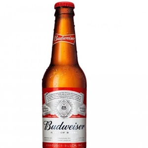 Delivery :: Tonny Lanches